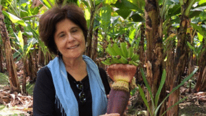 Tudo sobre quem é neide duarte - TV Pop