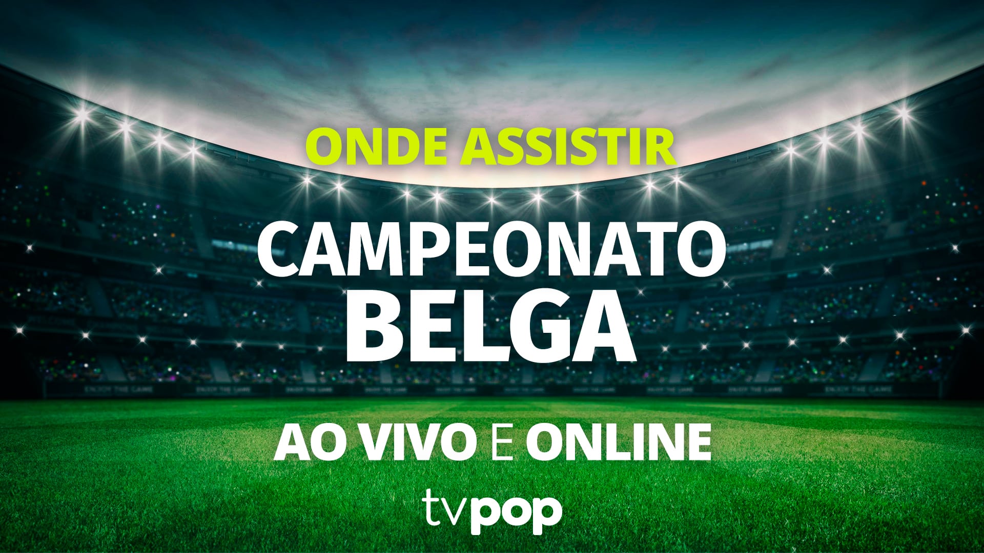 Campeonato Belga: Assista ao vivo e de graça ao jogo Royal Antwerp x ...